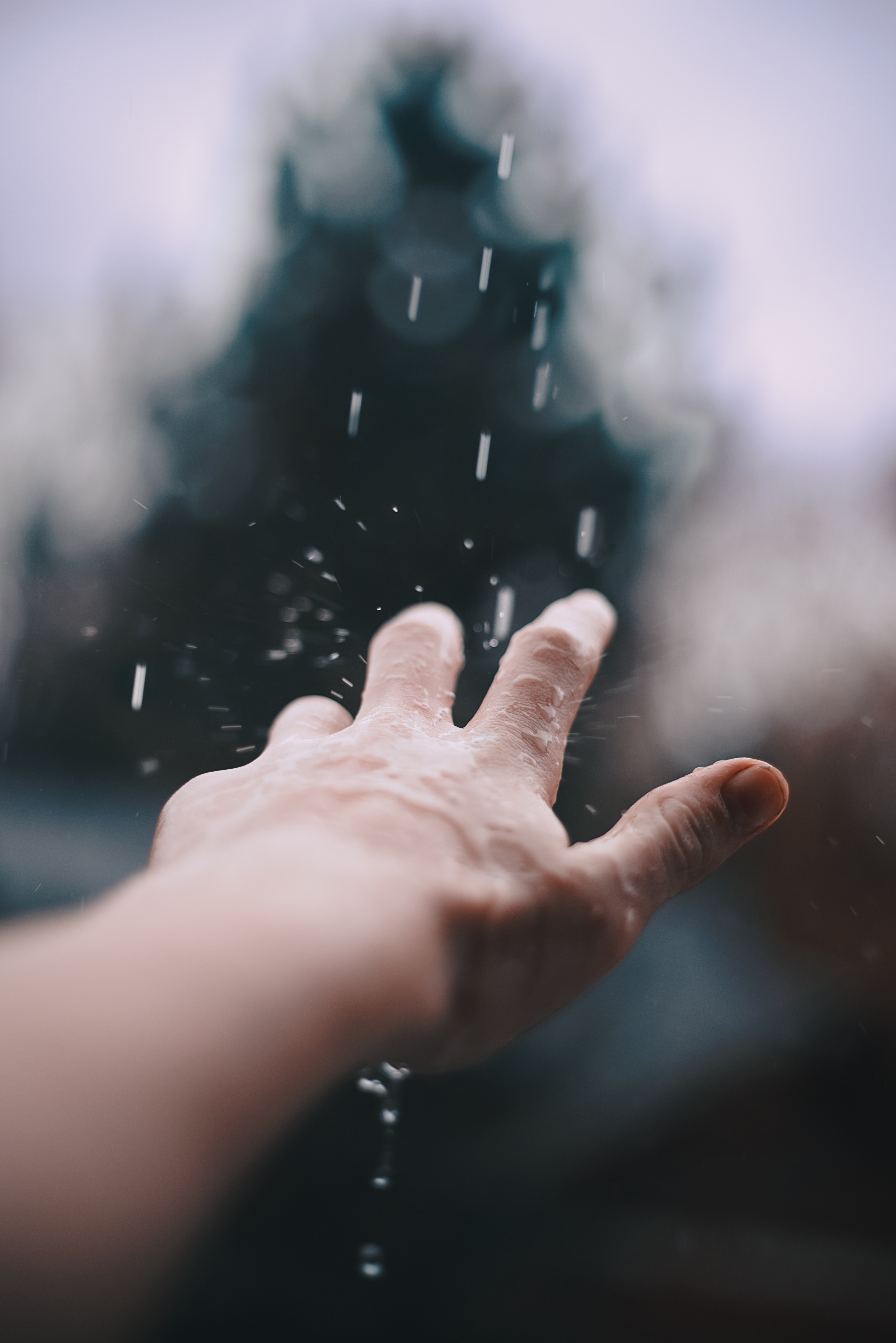 Finding Spiritual Purpose in ‘Why Not Me?’ – mandyralph.com